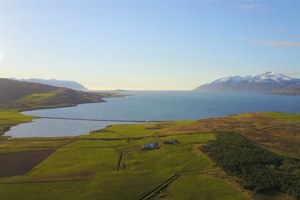 Arnarnes Paradís | Norðurstrandarleið - Actic Coast Way