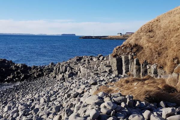 Lambagras | Norðurstrandarleið - Actic Coast Way